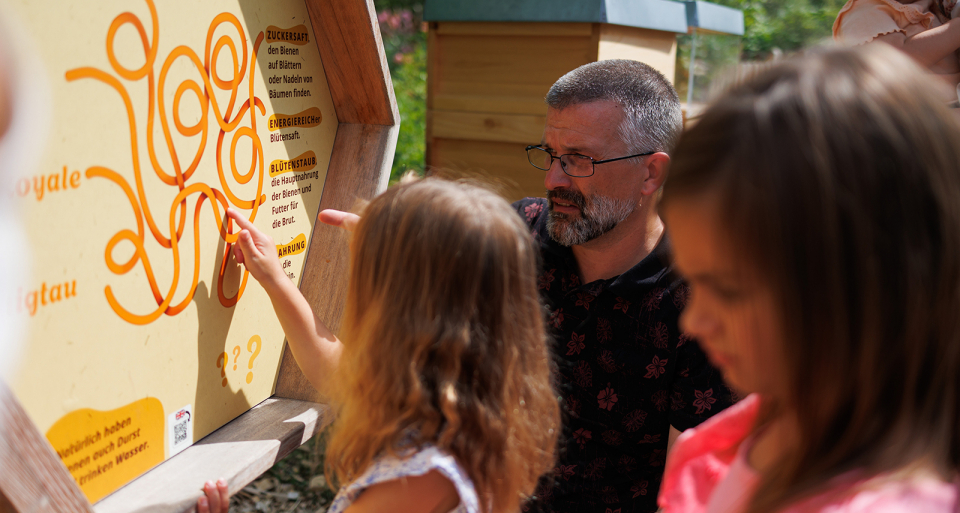 Bee Adventure Trail - Attractions - Playmobil FunPark